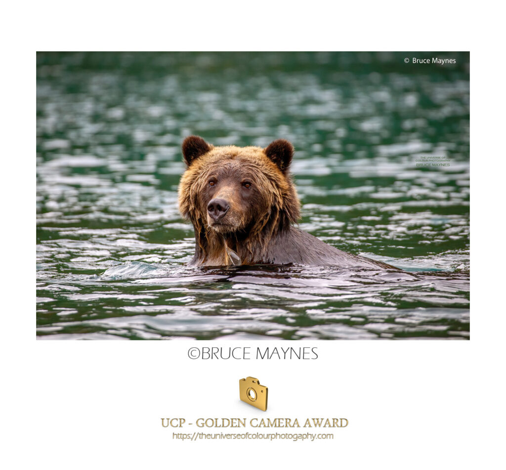 Bruce Maynes – The Universe of Colour Photography